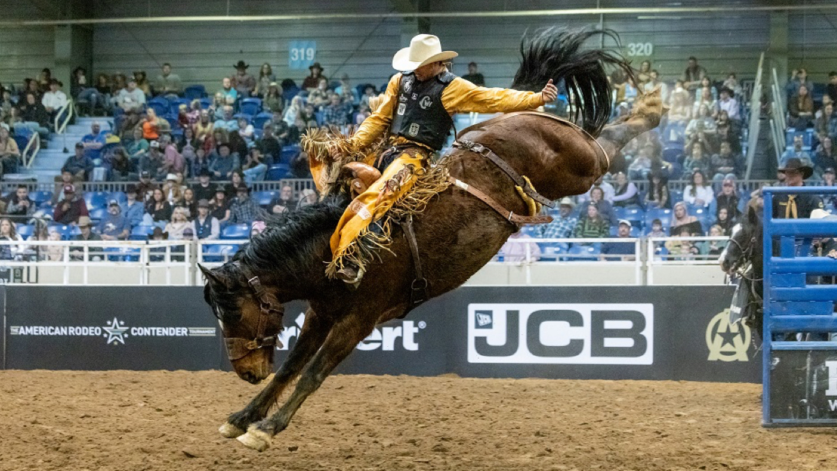 Rodeo Schedule 2024 Arizona - Perri Brandise Rodeo Schedule 2024 Arizona - Perri Brandise